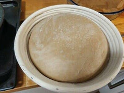 233yr Old Verified Heritage San Francisco Sourdough Starter – Living Dough